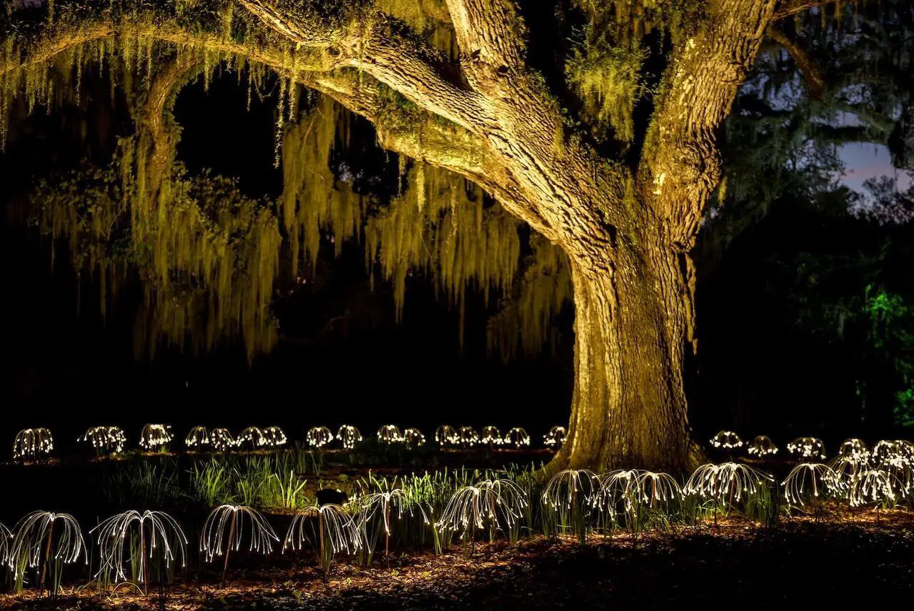 Bruce Munro: few artists manipulate light like him : DesignWanted