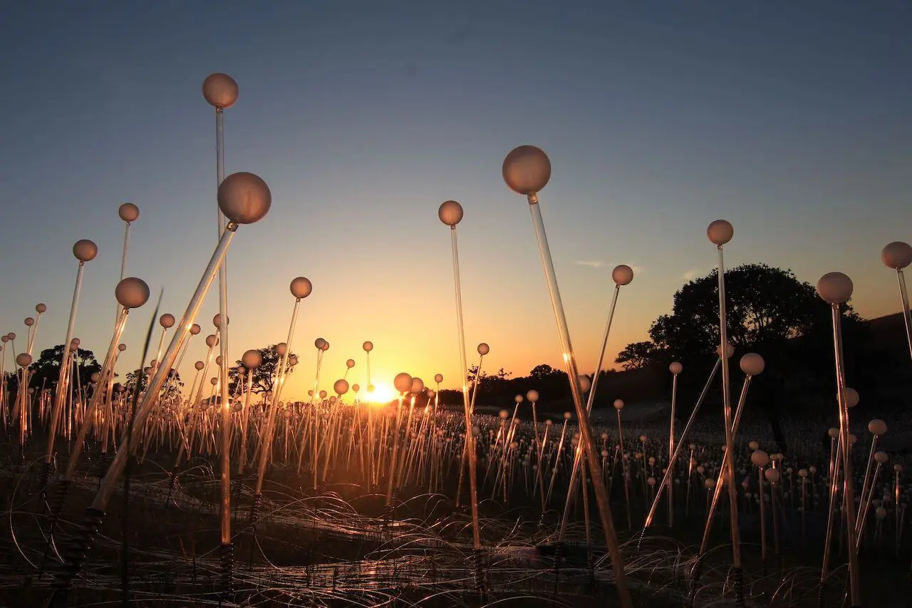 Bruce Munro: few artists manipulate light like him : DesignWanted