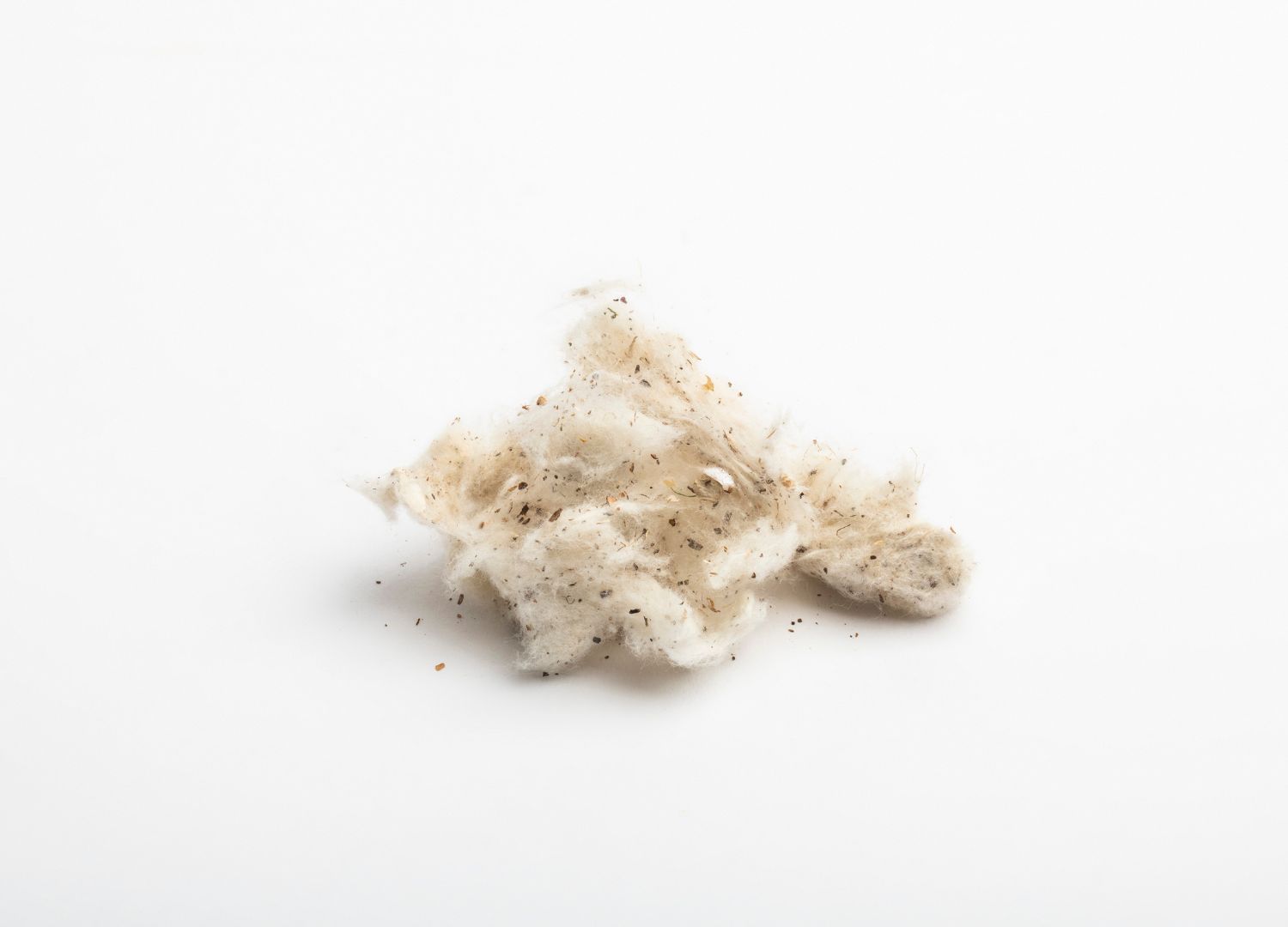 Mogu: Can you believe this floor is made of mushrooms? : DesignWanted