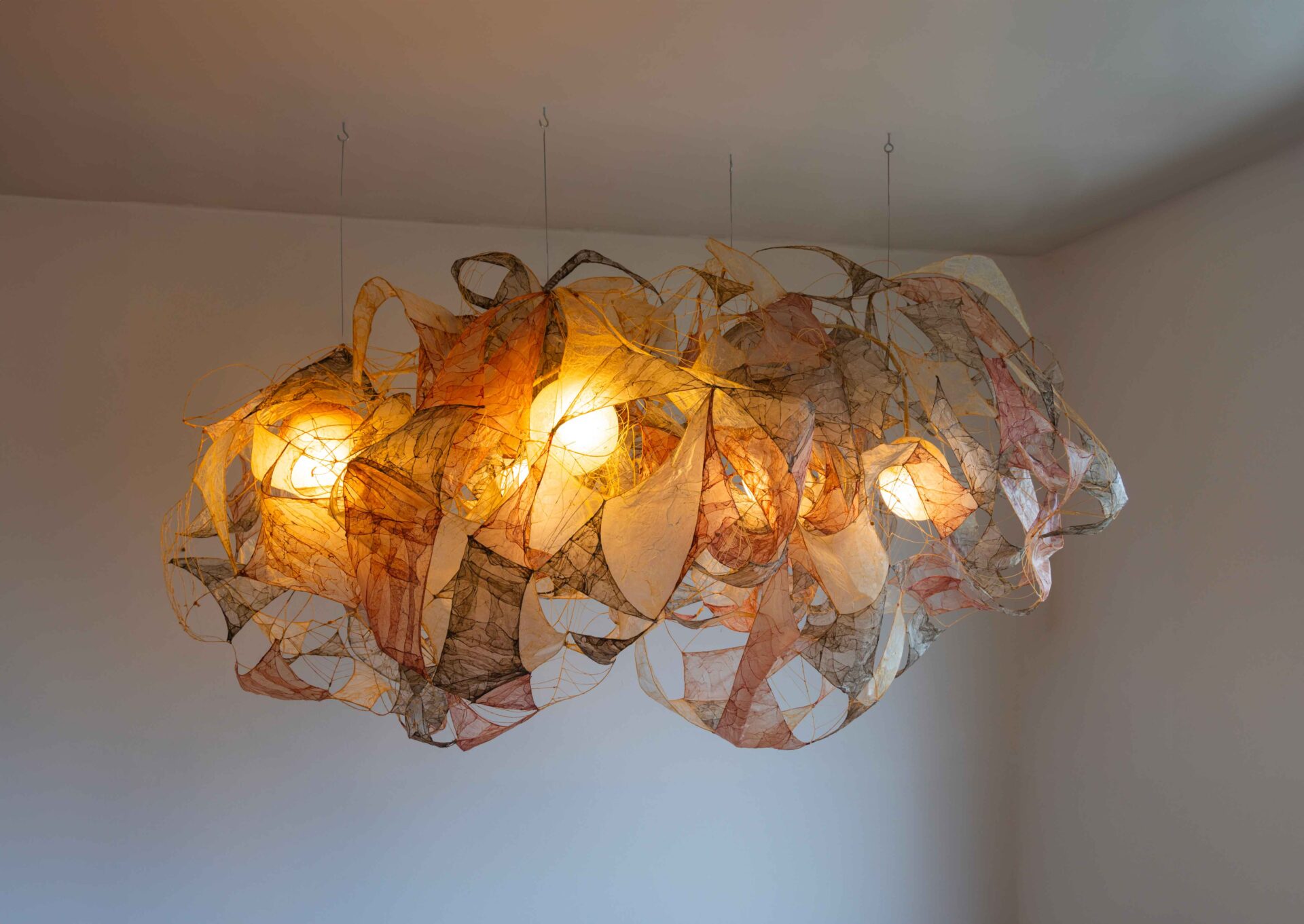 Thibault Philip: Designing with animal intestine waste : DesignWanted