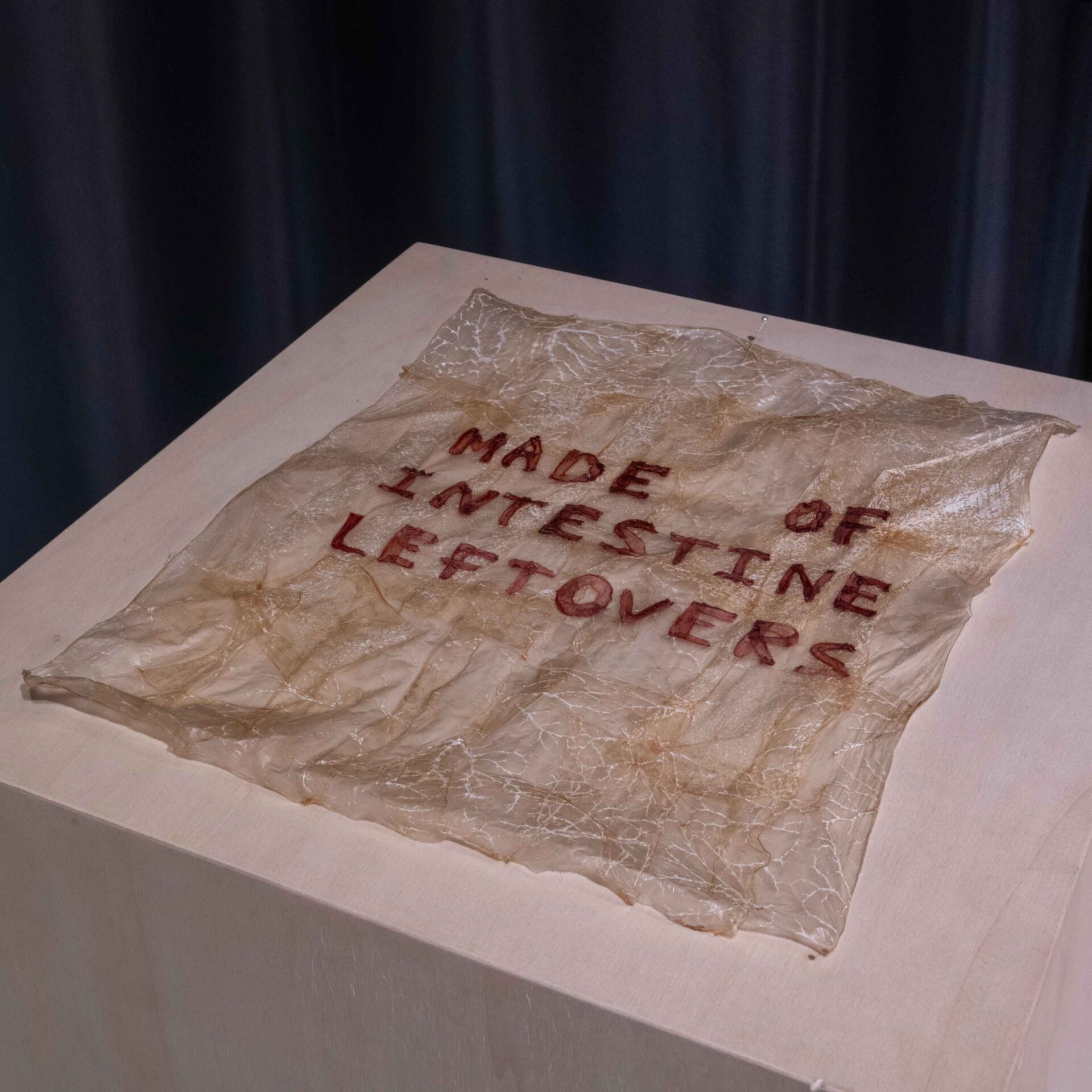 Thibault Philip: Designing with animal intestine waste : DesignWanted
