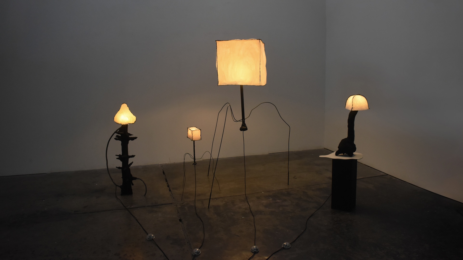 DesignWanted | design trends and innovations : DesignWanted